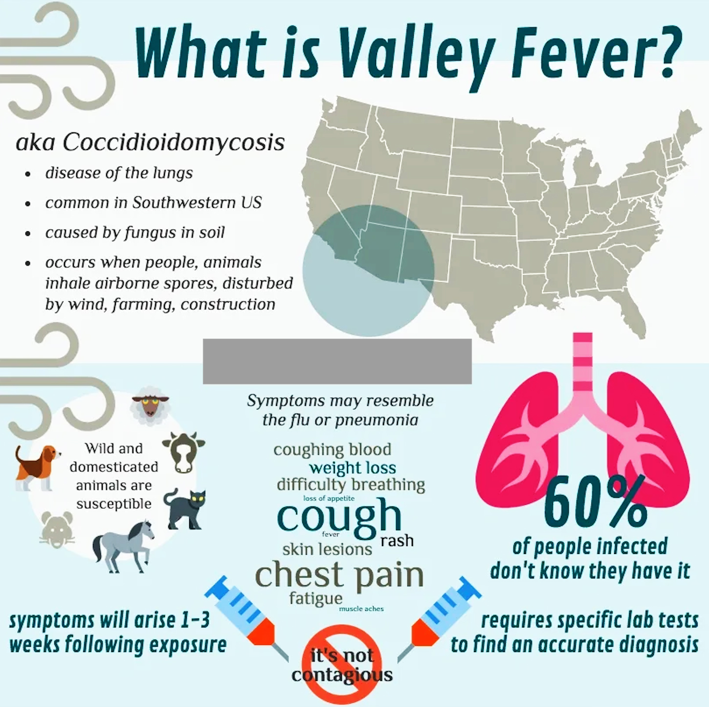 Valley Fever – Andrea Unsinkable